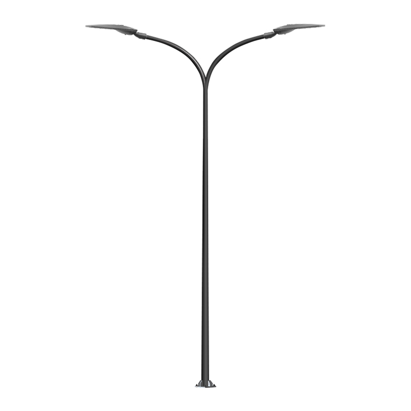 China Double Arm Hot-dip Galvanized Light Pole factory and ...