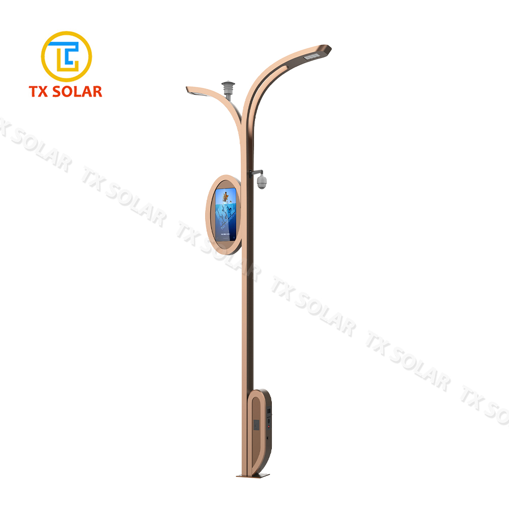 China Intelligent Led Street Light Pole with CCTV Camera factory and ...